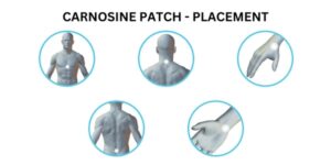 LifeWave Carnosine - Brain Health Y-Age - Michael K Jaco
